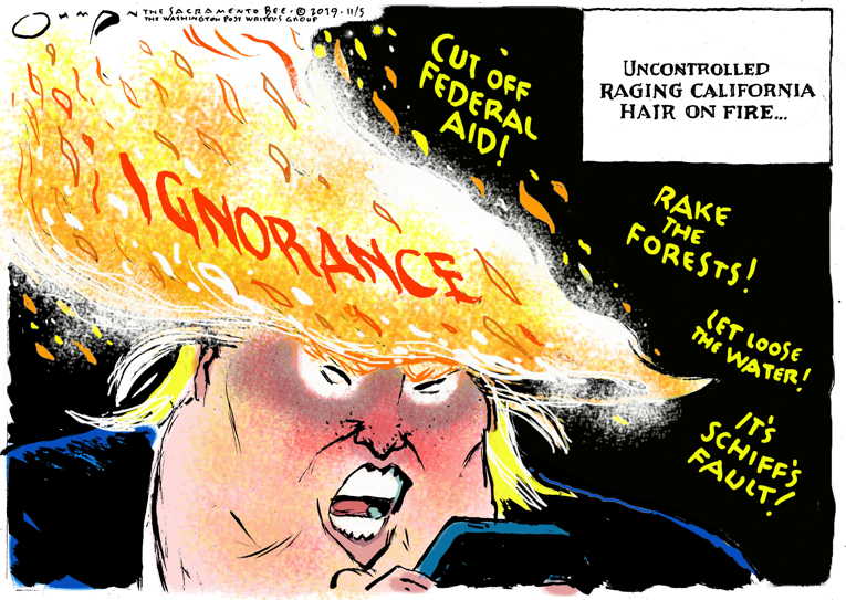 Political Cartoon on 'Record Fires in California' by Jack Ohman, The ...