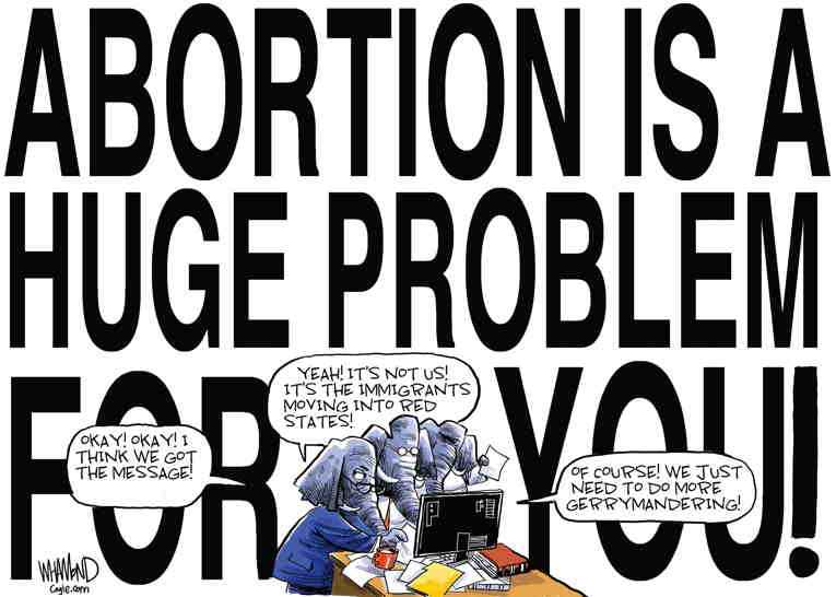Political Cartoon on 'Voters Reject Republicans' by Dave Whamond ...